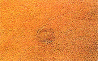 Furnworld International